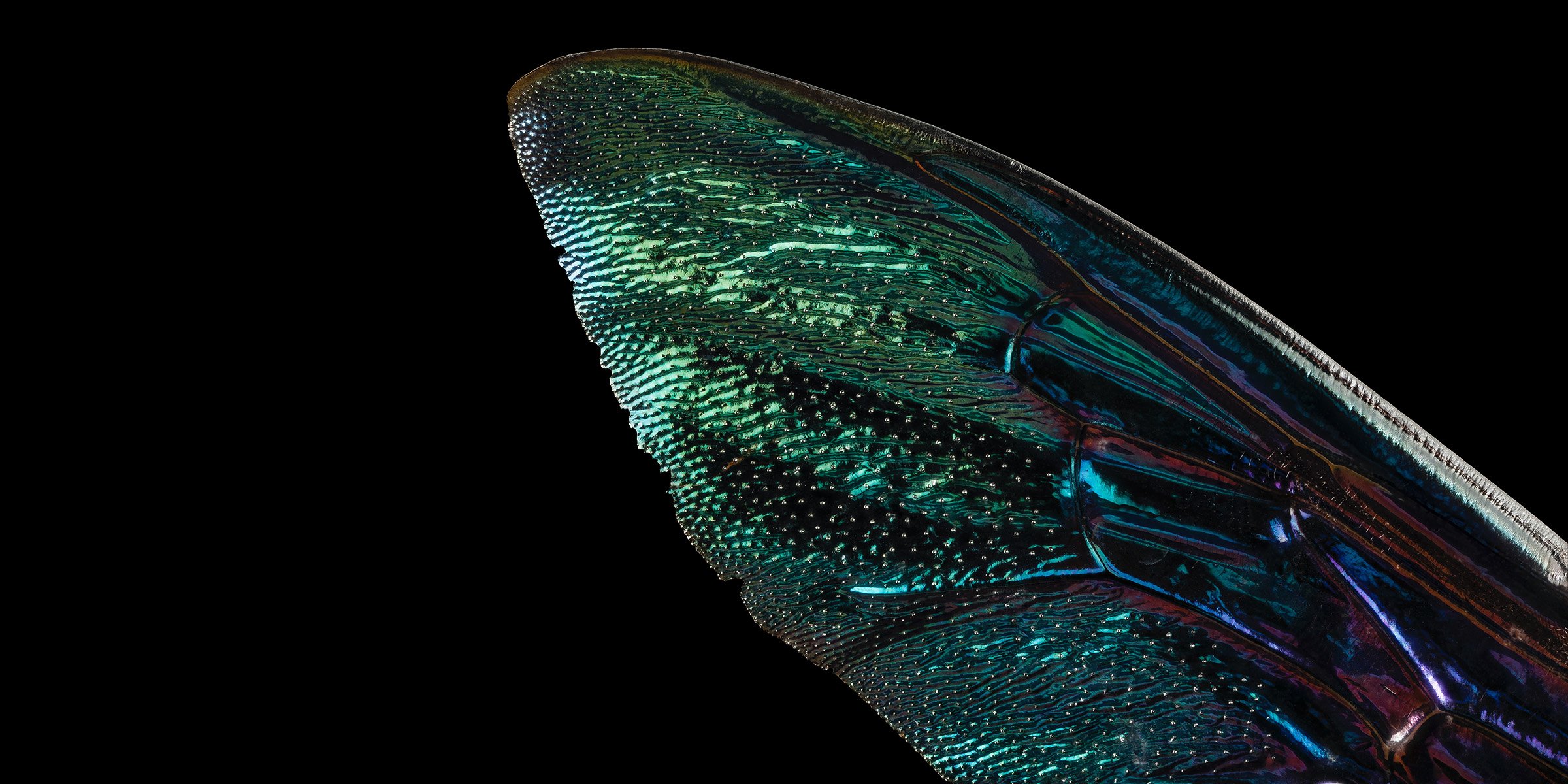 Circular light profiles Selux