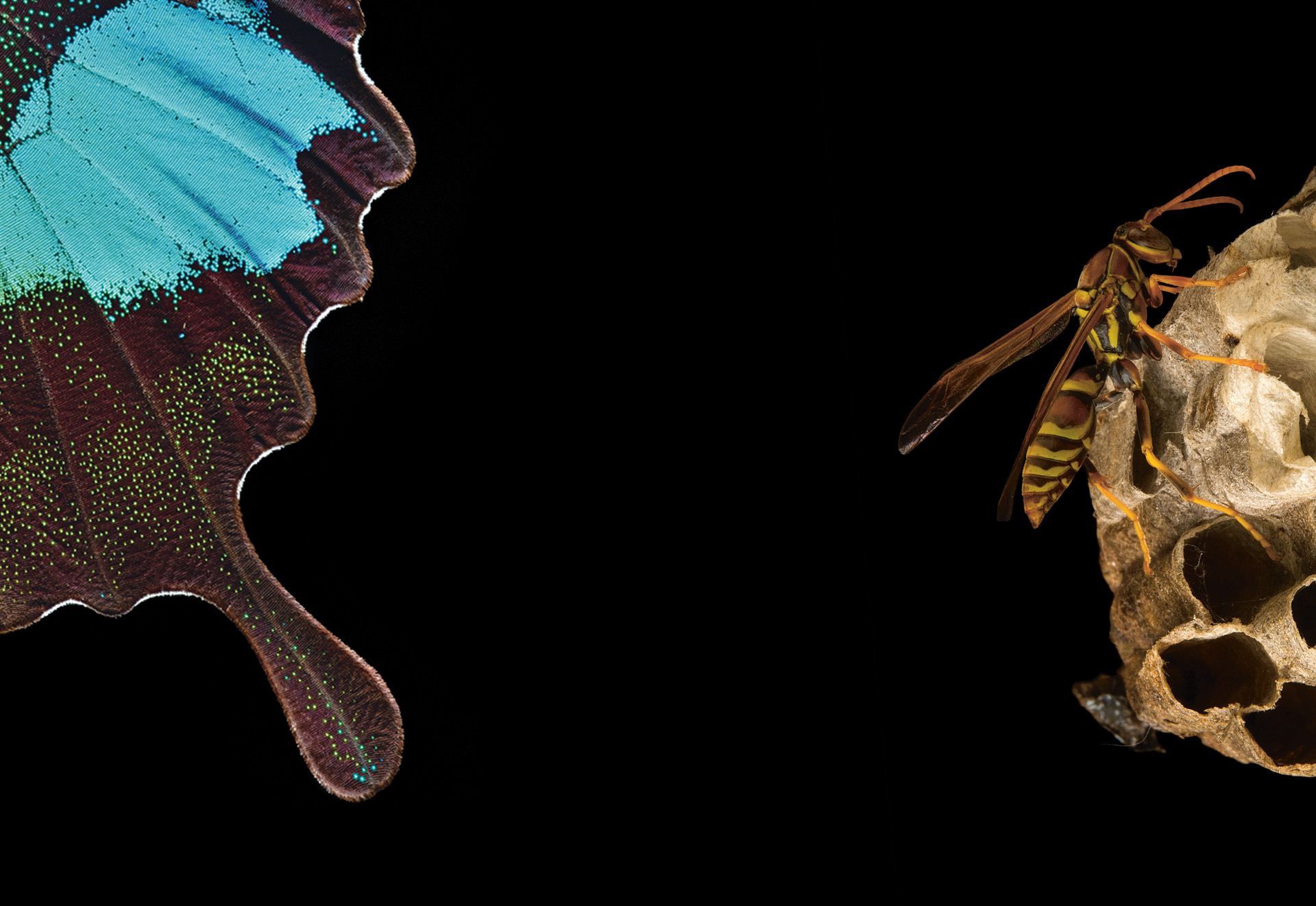 Insect-friendly lighting Selux