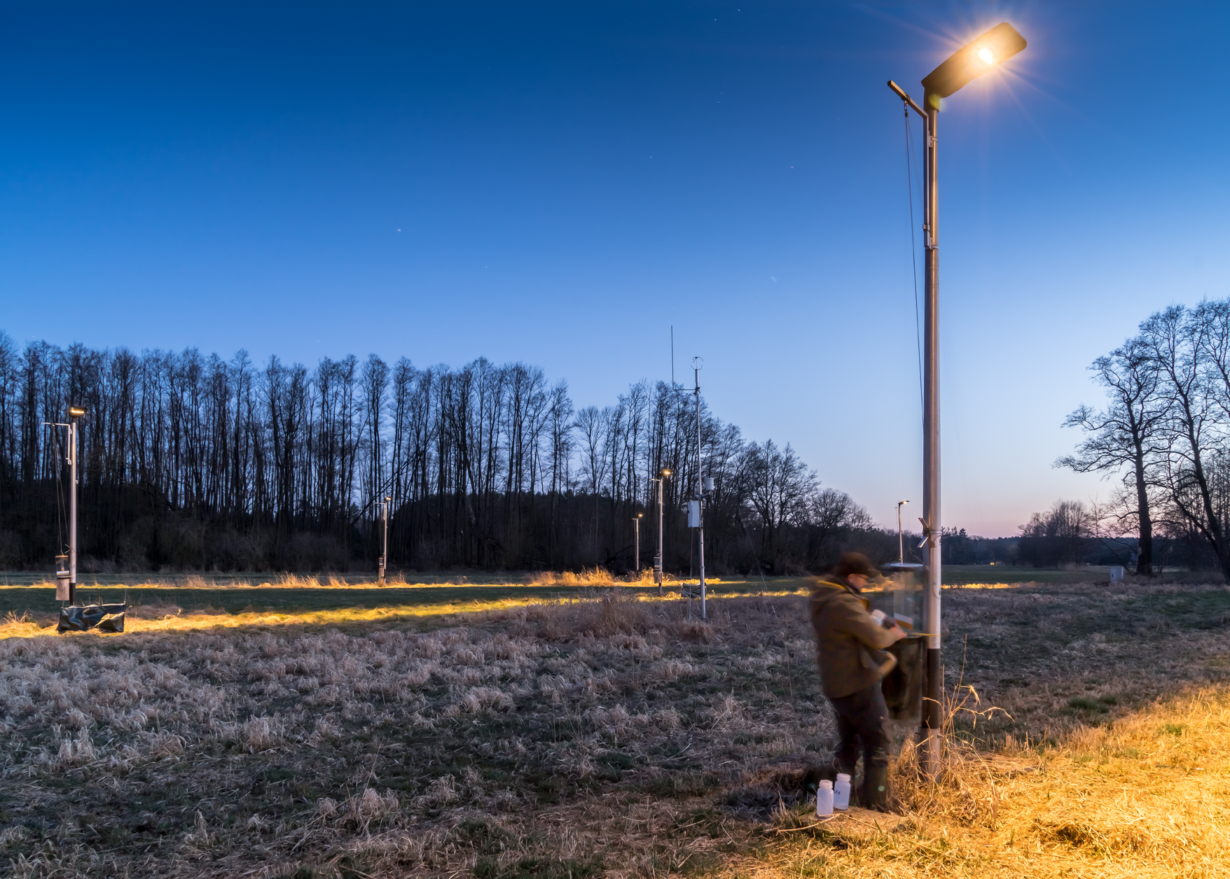 Insect friendly street lighting Selux
