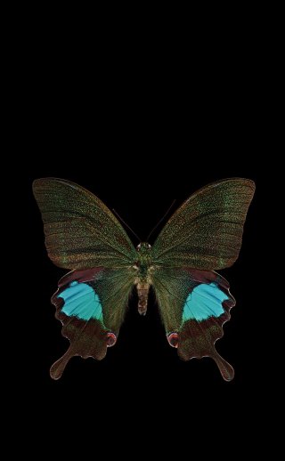 Wall luminaires Selux