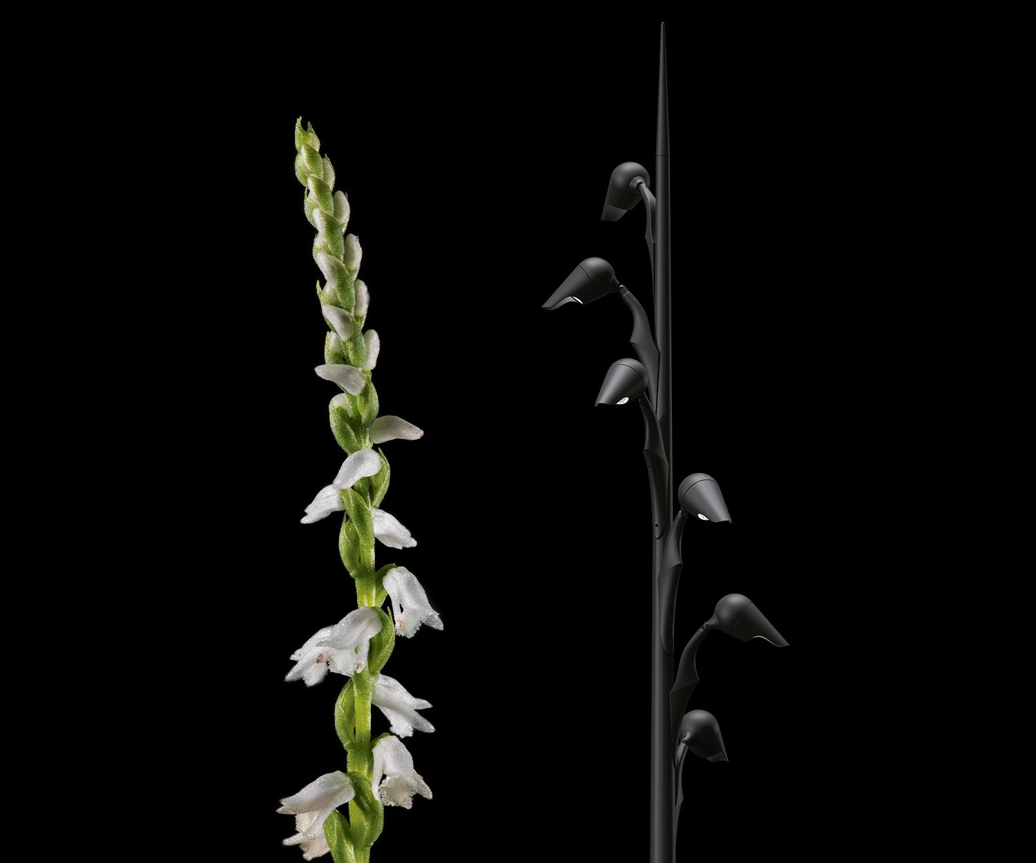 Design Poles Selux