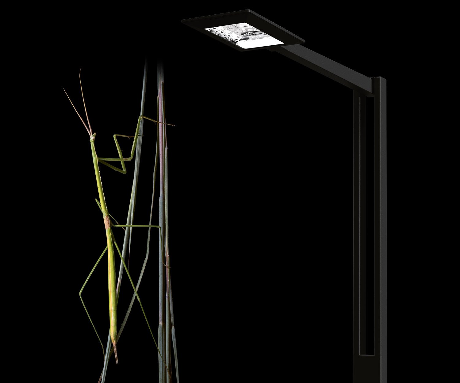 Individual Design Poles Selux